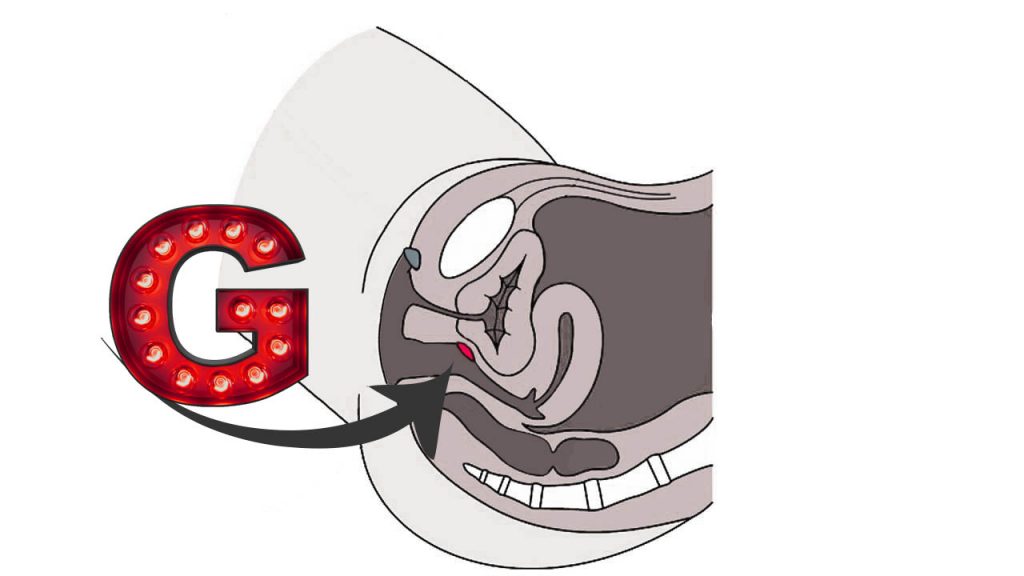 Auf den G-Punkt gebracht. • Gebetsschwester